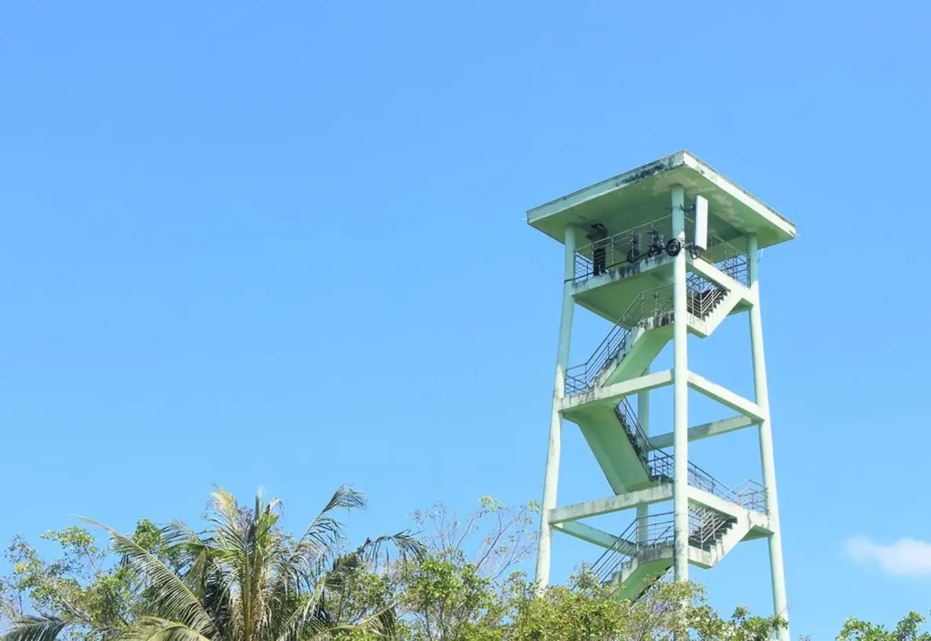 Khám phá rừng U Minh Hạ